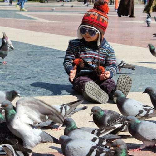 Stream Hena Hassan music | Listen to songs, albums, playlists for free ...