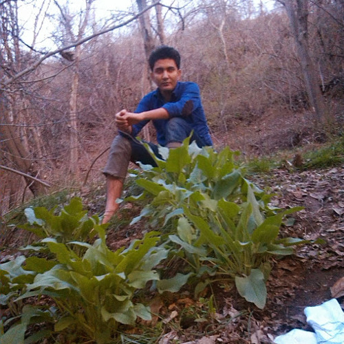 Stream Ali Reza Bahari music | Listen to songs, albums, playlists for ...