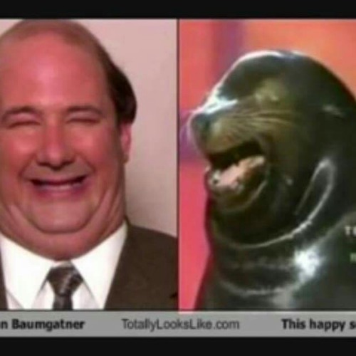 Stream hdhdhdj music | Listen to songs, albums, playlists for free on ...