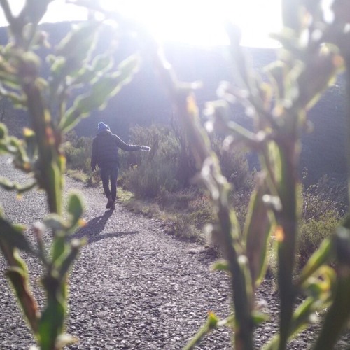 Stream Peter Forest music | Listen to songs, albums, playlists for free ...