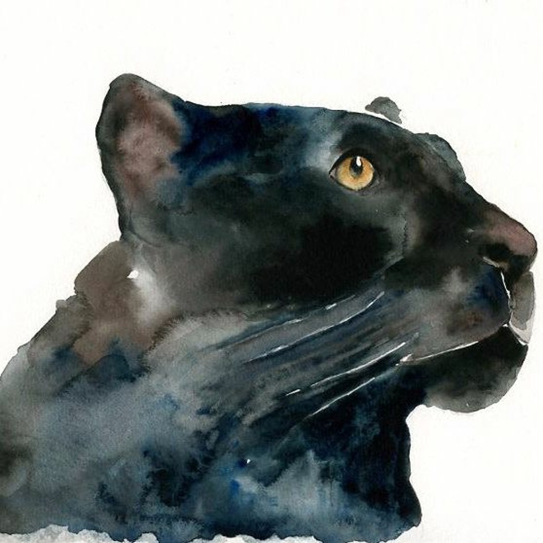 Stream Panthurr music | Listen to songs, albums, playlists for free on ...