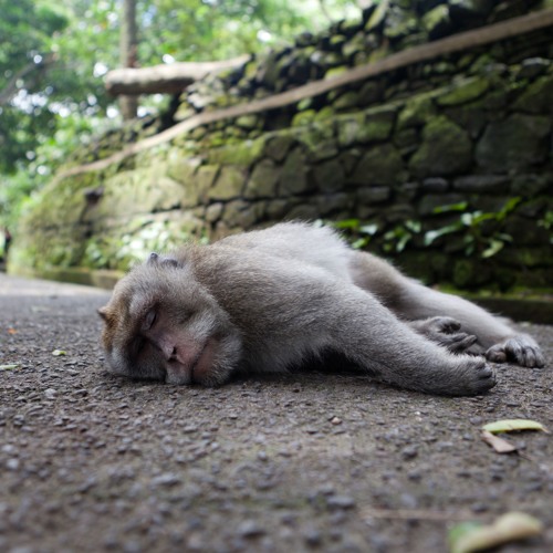 Stream Ben DAGUE | Listen to Ben DAGUE Tracks playlist online for free ...