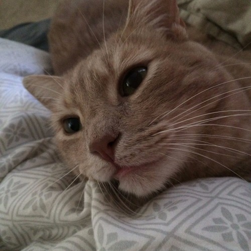 Stream Winnie Teng music | Listen to songs, albums, playlists for free ...