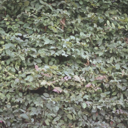 Stream Taylor Zanke music | Listen to songs, albums, playlists for free ...