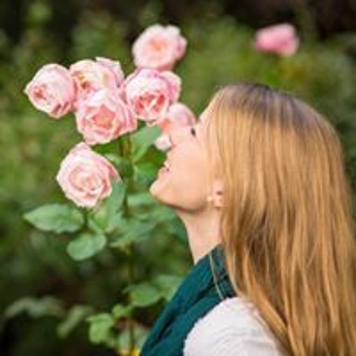 Stream Sydney Schultz music | Listen to songs, albums, playlists for ...