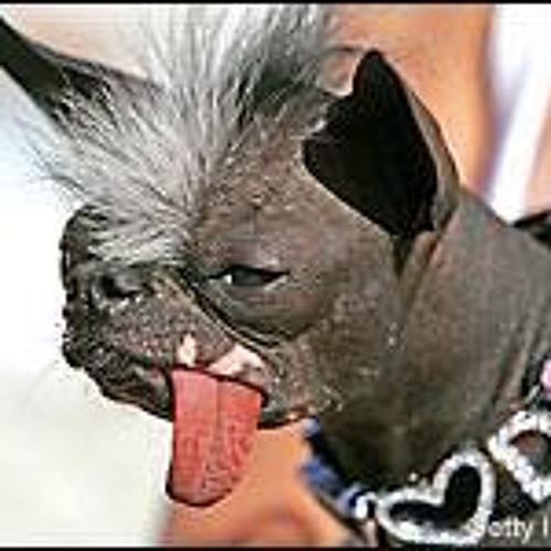 Stream Rod Mari music | Listen to songs, albums, playlists for free on ...