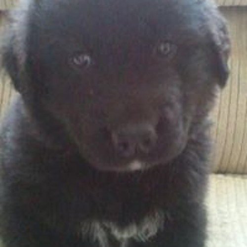 Stream Jimmy Mod music | Listen to songs, albums, playlists for free on ...