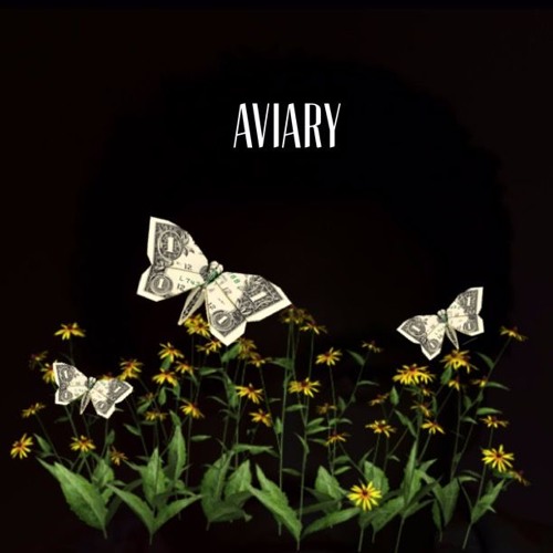 Stream Aviary Productions music | Listen to songs, albums, playlists ...