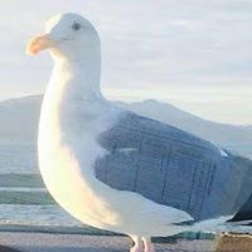 Stream Jake Masterson music | Listen to songs, albums, playlists for ...