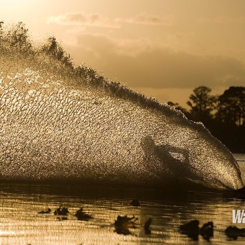 Stream Jordan Clothier-Harris music | Listen to songs, albums ...