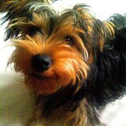 Stream Shelly-ann de Vos music | Listen to songs, albums, playlists for ...