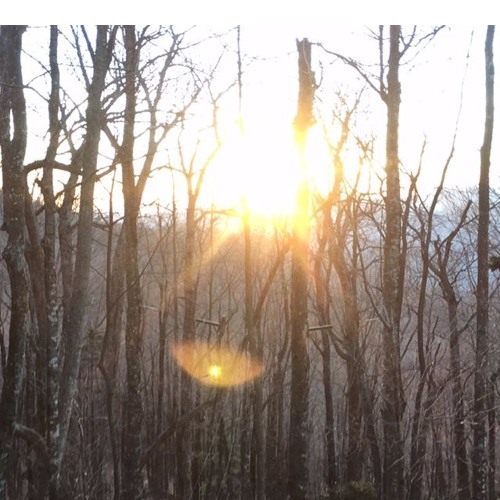 Stream smmz music | Listen to songs, albums, playlists for free on ...