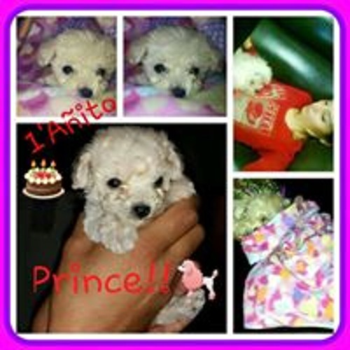 Stream Van Vera music | Listen to songs, albums, playlists for free on ...