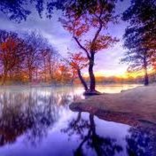 Stream dsadasdsa music | Listen to songs, albums, playlists for free on ...