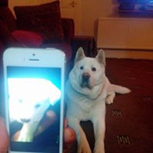 Stream Miriam Mustafa music | Listen to songs, albums, playlists for ...