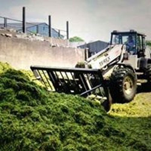 Stream Ryan Mone music | Listen to songs, albums, playlists for free on ...