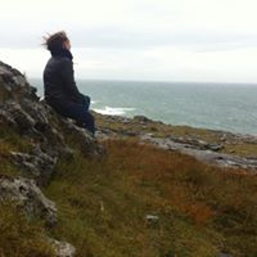 Stream episode 1916 Commemoration Walkin Tour RTE Cuffe Street by ...