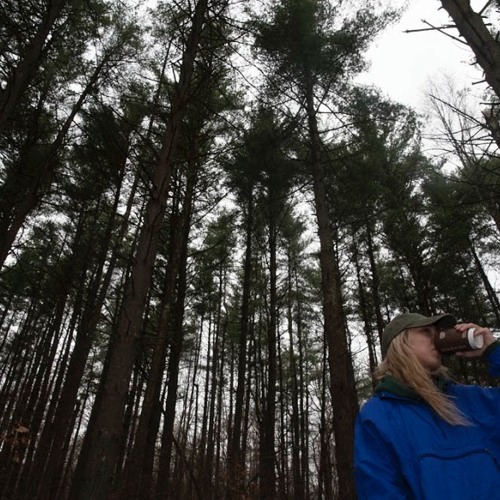 Stream Summer Cottrell music | Listen to songs, albums, playlists for ...