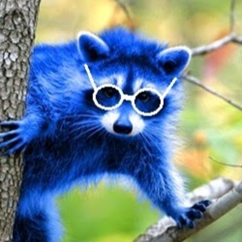 Stream Blue Raccoon music | Listen to songs, albums, playlists for free ...