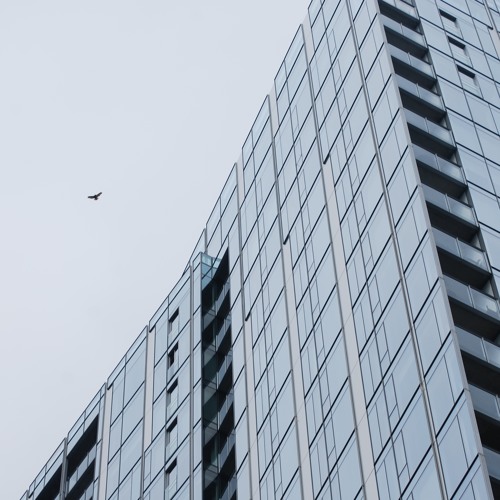 Stream Ben Ritt music | Listen to songs, albums, playlists for free on ...