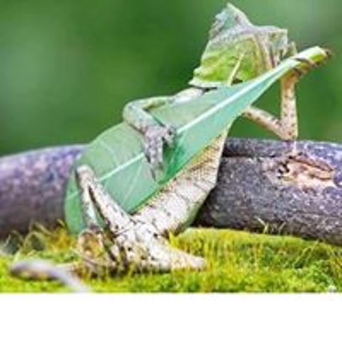 Stream Neil Solanki music | Listen to songs, albums, playlists for free ...