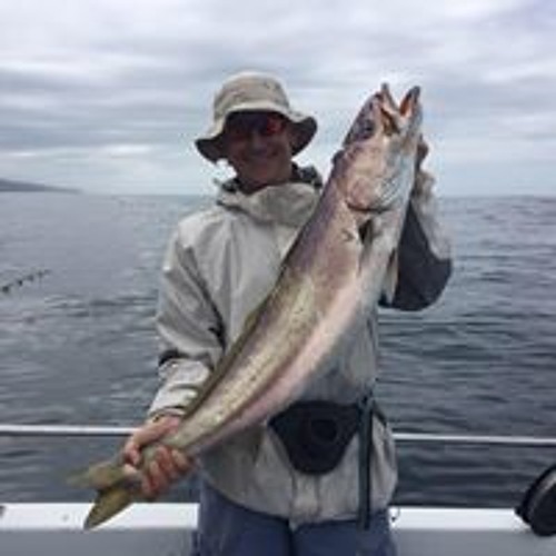 Stream Jason Burmeister music | Listen to songs, albums, playlists for ...