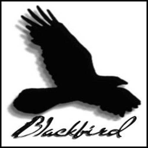 Stream 528hz Chillstep - Blackmill - Spirit Of Life by Mike Blackbird ...
