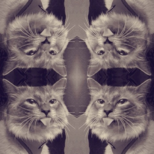 Stream Sam Rader music | Listen to songs, albums, playlists for free on ...