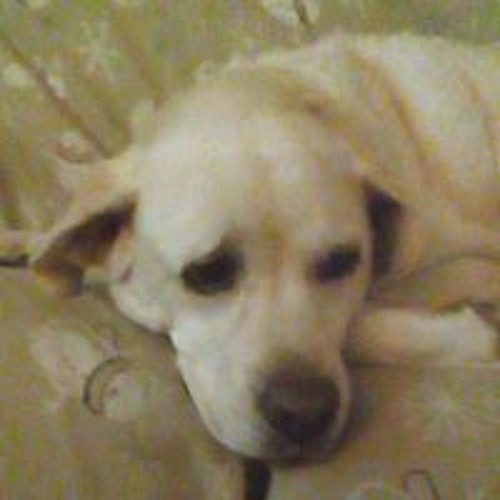 Stream Nick Tindall music | Listen to songs, albums, playlists for free ...