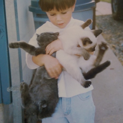 Stream Guosim music | Listen to songs, albums, playlists for free on ...