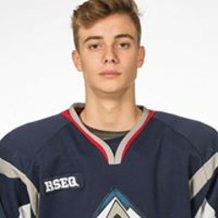 Gabriel Paquette's Instagram, Twitter & Facebook on IDCrawl