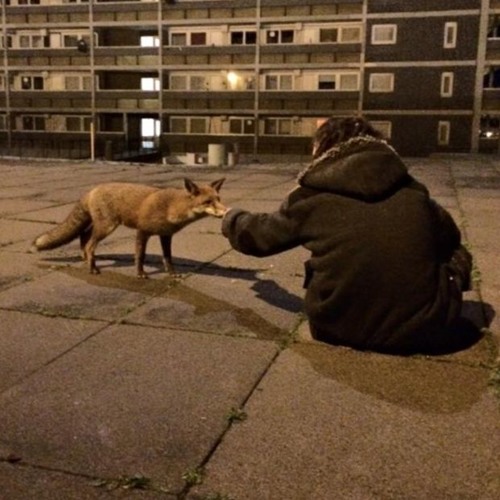 Stream Confuddle Funk music | Listen to songs, albums, playlists for ...