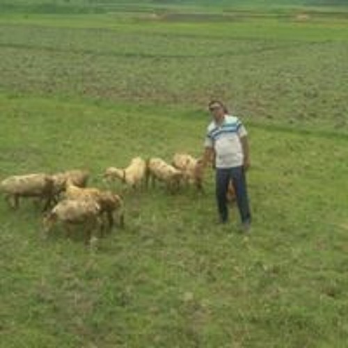 Stream Ragini Ravi Thirumale music | Listen to songs, albums, playlists ...