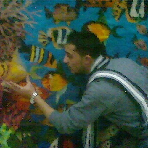 Stream osos actor music | Listen to songs, albums, playlists for free ...