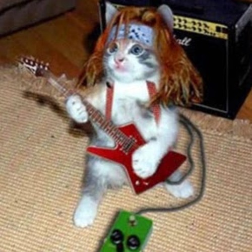 Stream Gato Op music | Listen to songs, albums, playlists for free on ...