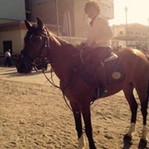 Stream Ziad Walid music | Listen to songs, albums, playlists for free ...