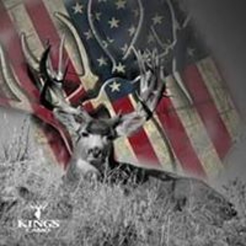 Stream Jose Toya music | Listen to songs, albums, playlists for free on ...