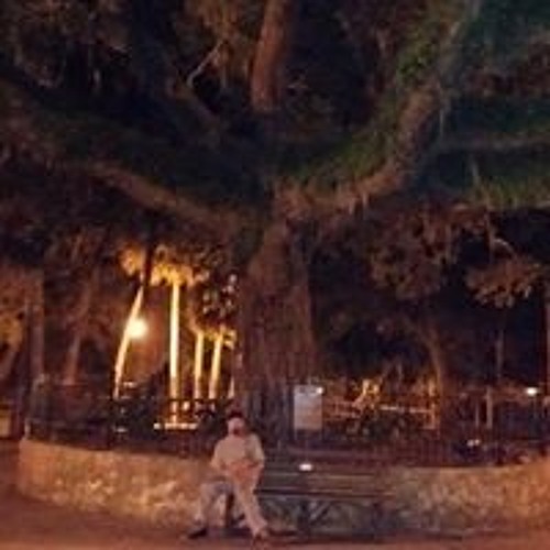 Stream Parks Mullis music | Listen to songs, albums, playlists for free ...