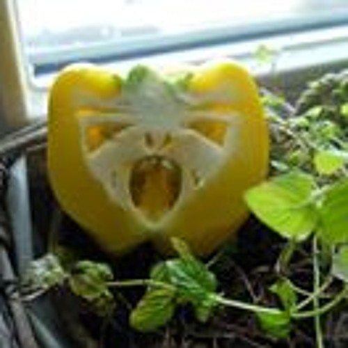 Stream Wen Chin music | Listen to songs, albums, playlists for free on ...