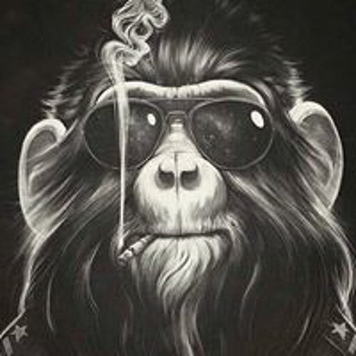 Stream Mayte Perera music | Listen to songs, albums, playlists for free ...