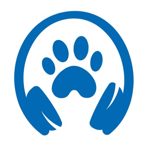 Stream Bupanda Music music | Listen to songs, albums, playlists for ...