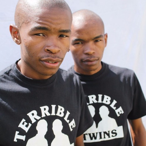 Stream Terrible Twins SA music | Listen to songs, albums, playlists for ...