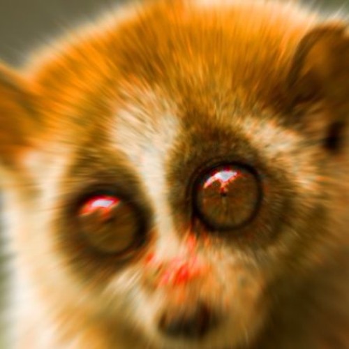 Stream Slow Morris music | Listen to songs, albums, playlists for free ...