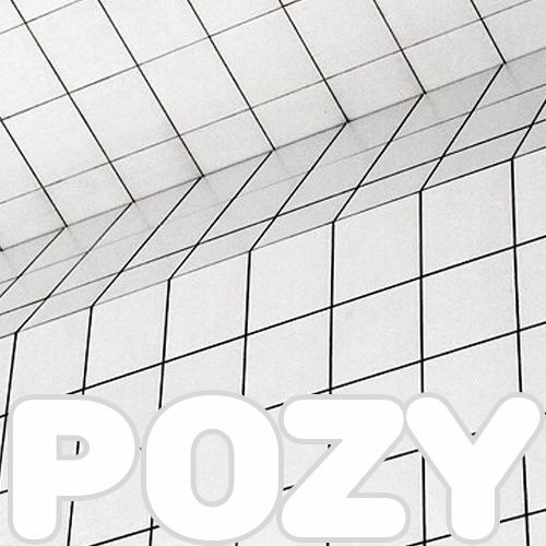 Stream POZY music | Listen to songs, albums, playlists for free on ...