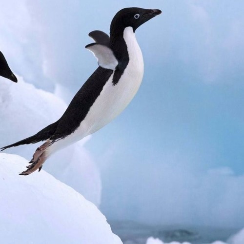 Stream Yrag music | Listen to songs, albums, playlists for free on ...