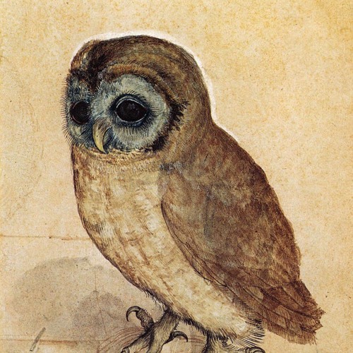 Stream Scott Bissett 1 music | Listen to songs, albums, playlists for ...