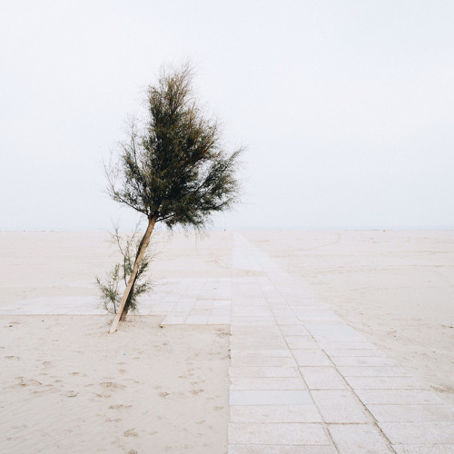 Stream hazelhiknowles music | Listen to songs, albums, playlists for ...