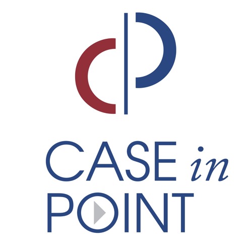 Stream Professor Sarah Paoletti and Advocate Azadeh Shahshahani on the ...