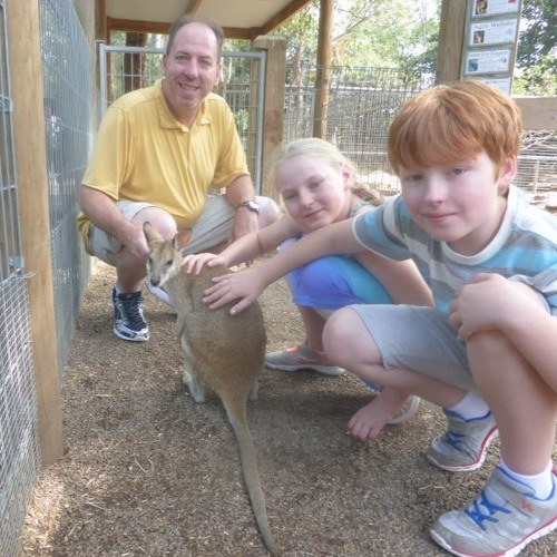 Stream Butterflies And Hurricanes by Michael Swahn | Listen online for ...