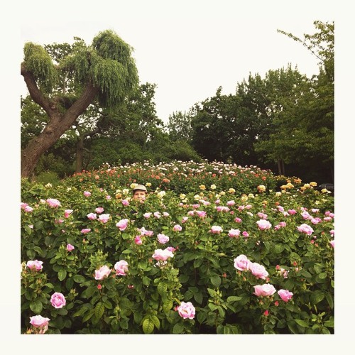 Stream Couldn't Love You More (John Martyn) by Charlie Stott | Listen ...